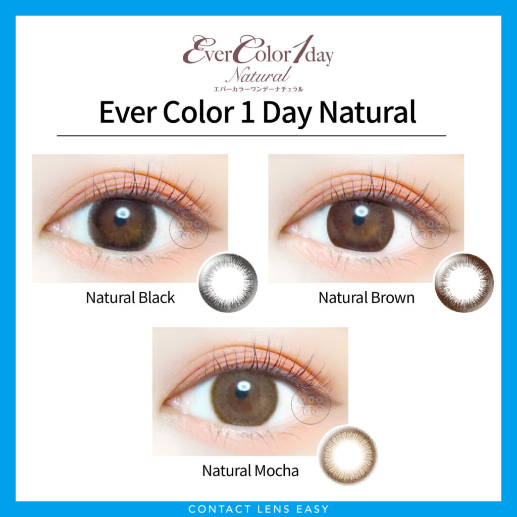 Ever Color 1 Day Natural | Contact Lens Easy