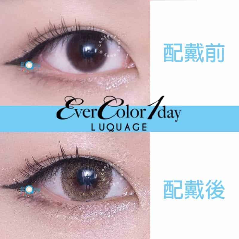 EverColor 1 Day LUQUAGE (30片) | Contact Lens Easy