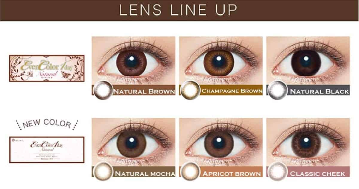 Ever Color 1 Day Natural | Contact Lens Easy