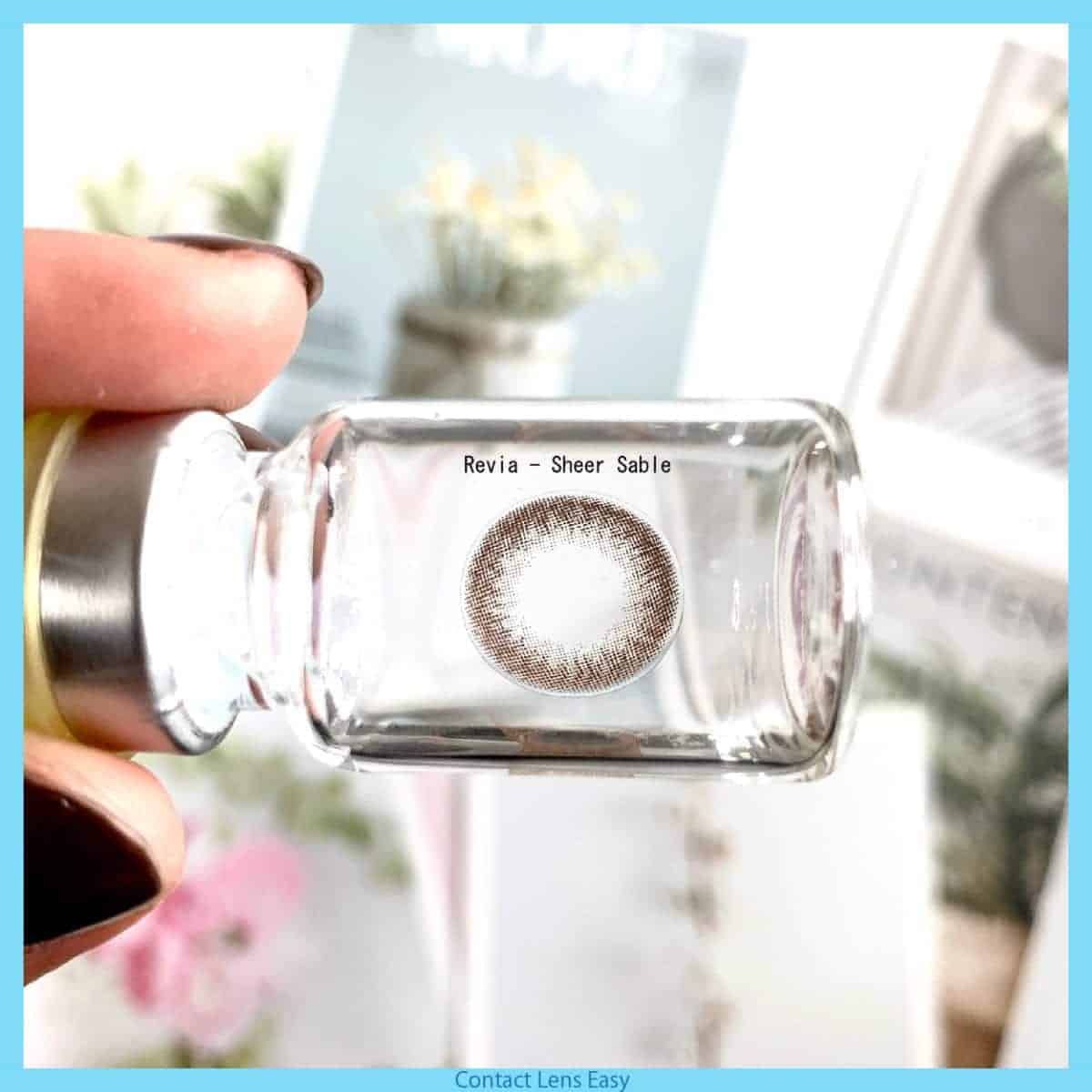 RêVIA 1 Day | Contact Lens Easy