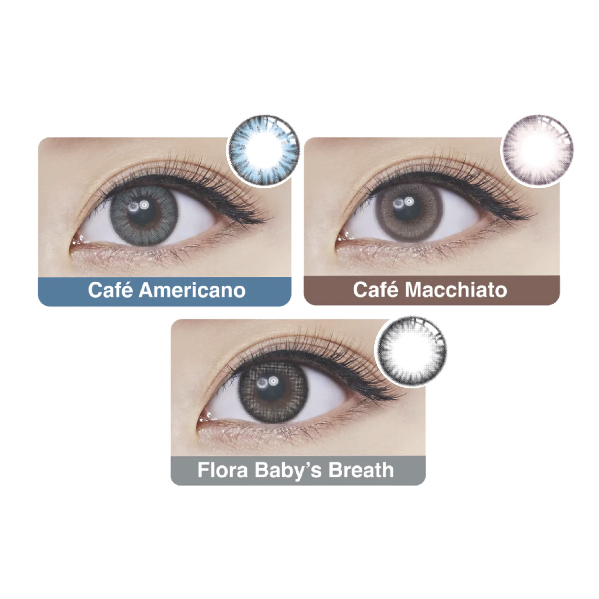 Freshkon Naho 1 Day (30片裝) | Contact Lens Easy