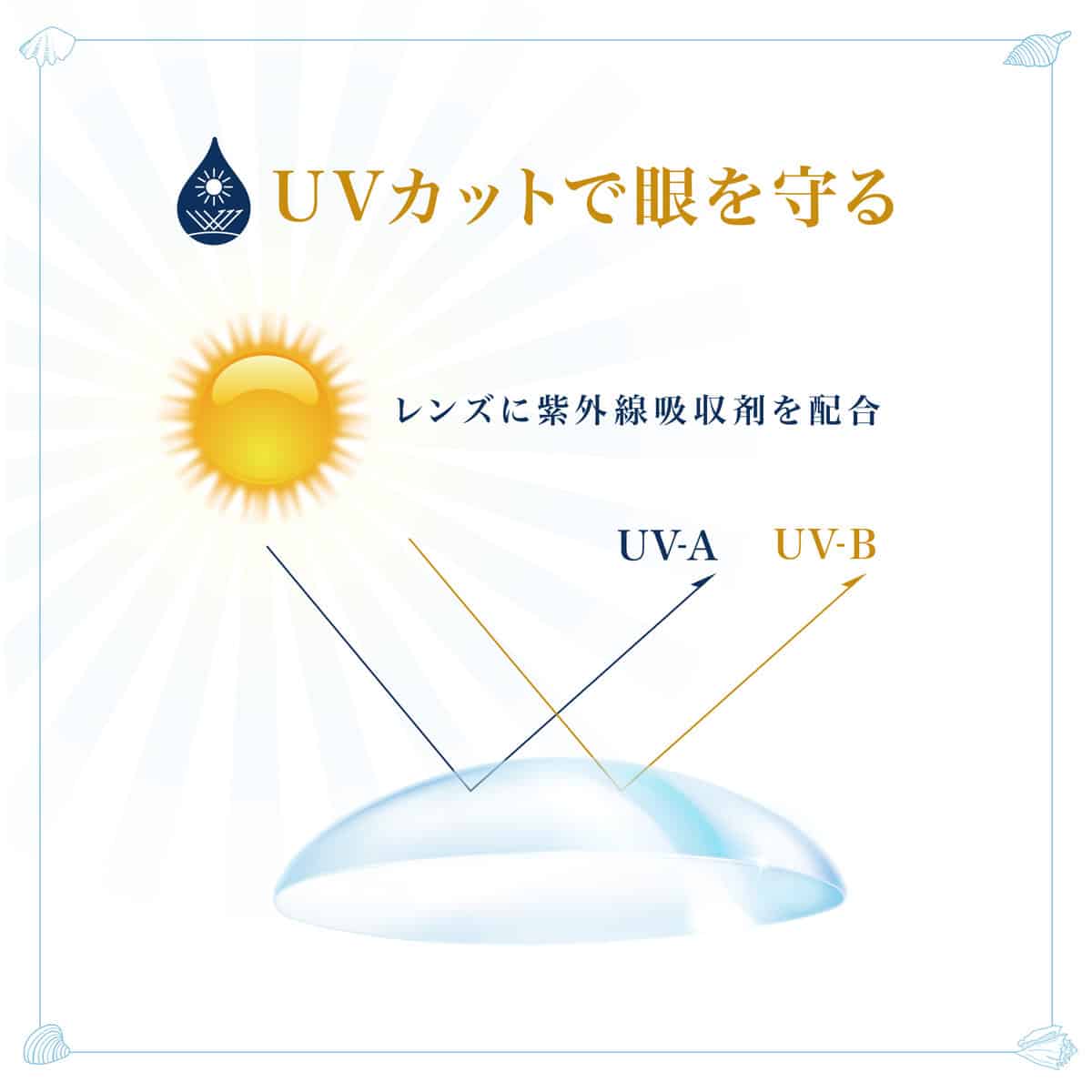 Syreni Monthly Color | Contact Lens Easy