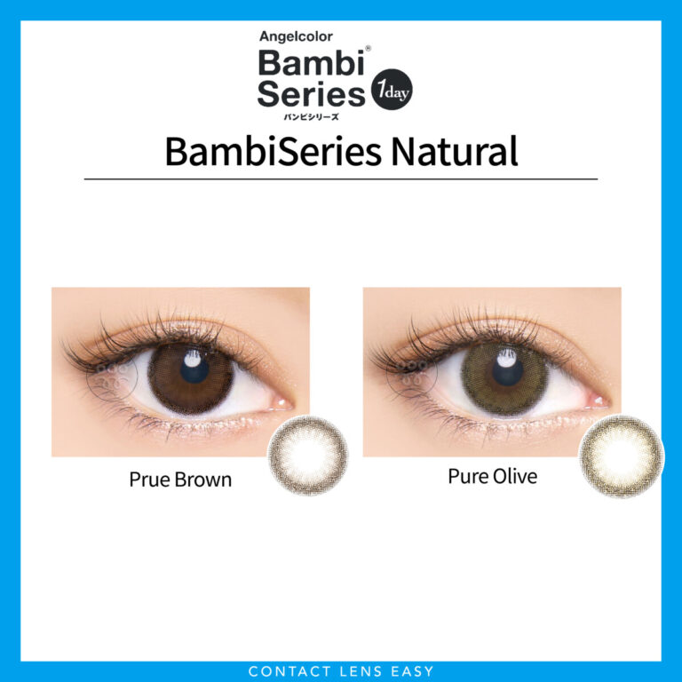 AngelColor Bambi Series 1 Day | Contact Lens Easy