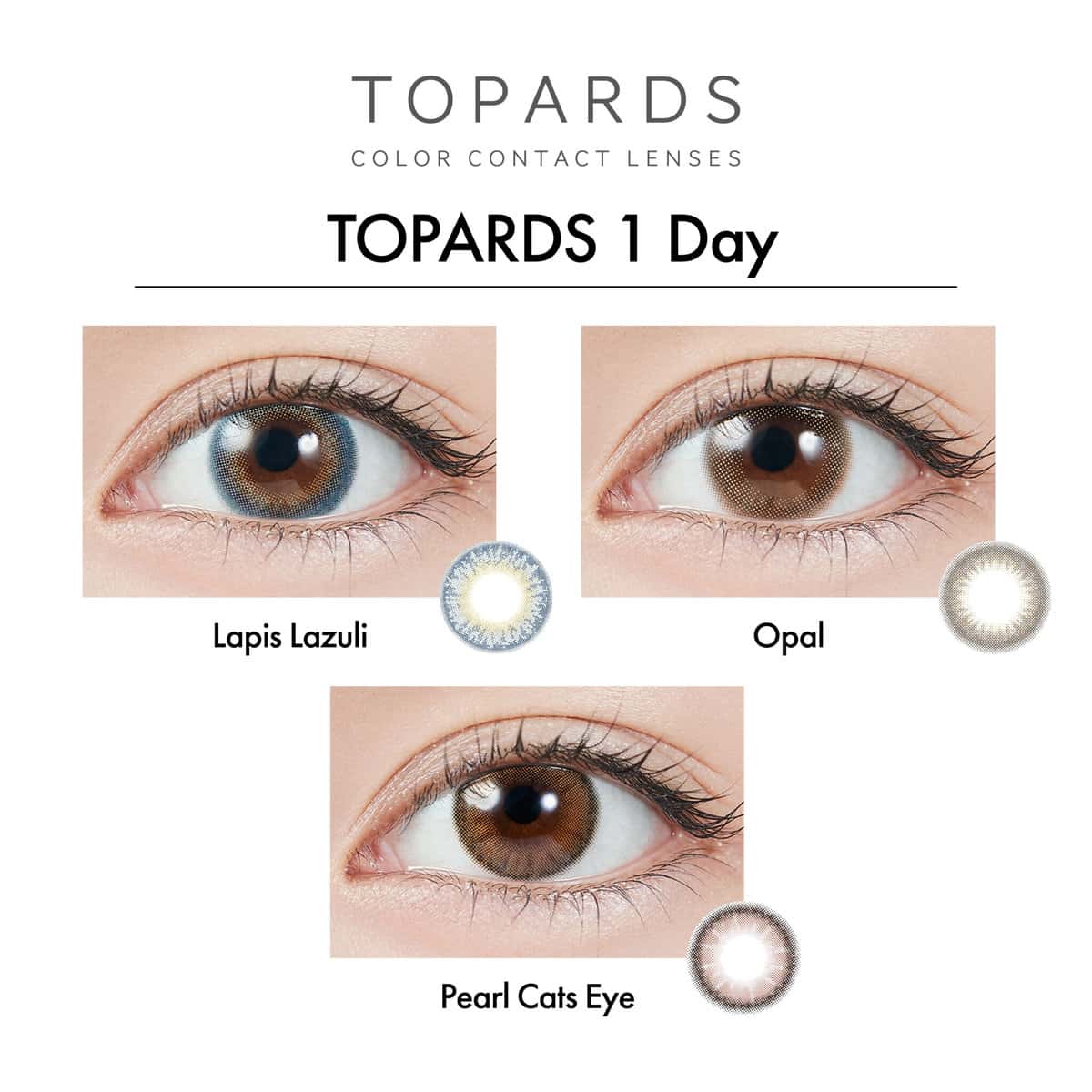 TOPARDS 1 Day Color | Contact Lens Easy
