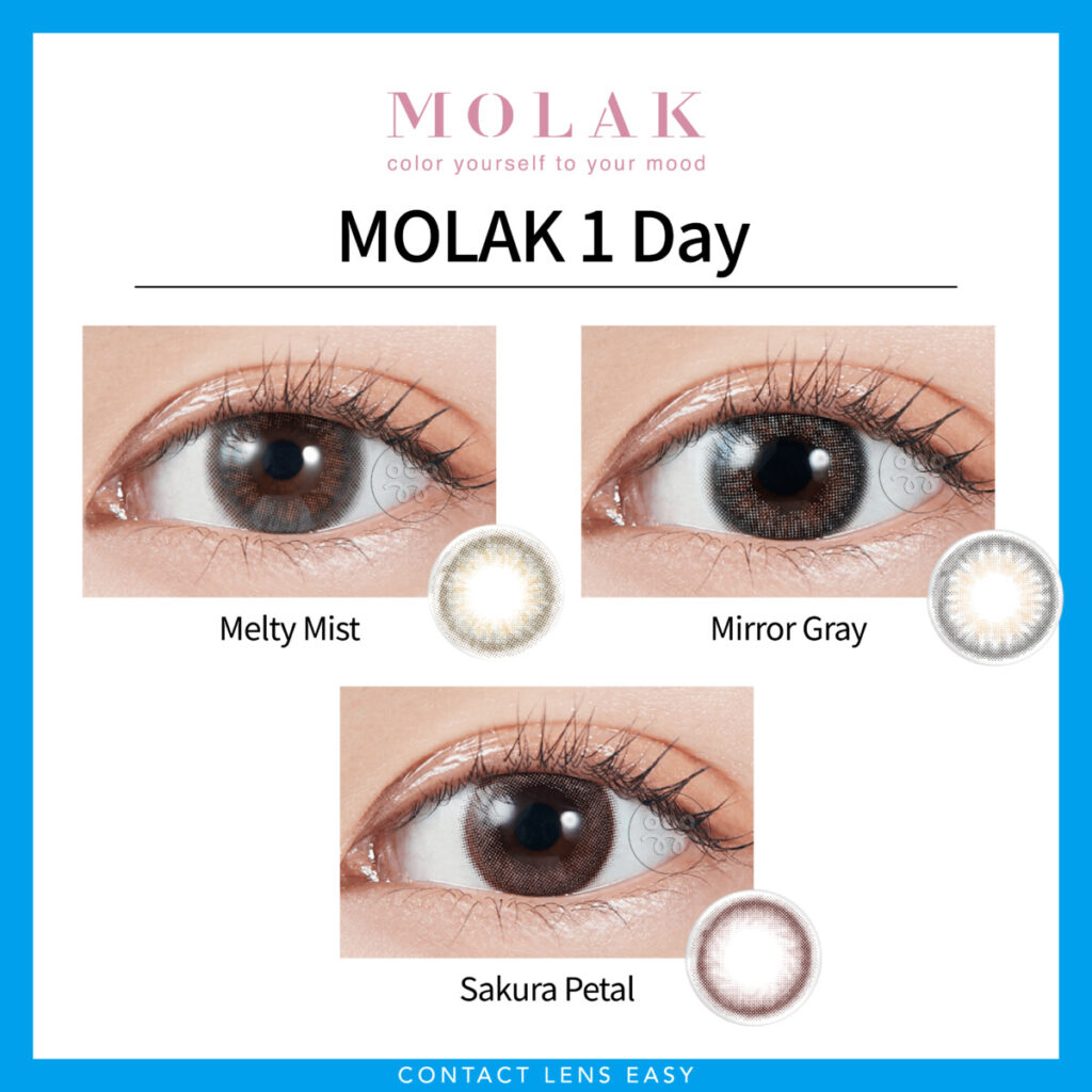 PIA MOLAK 1 Day | Contact Lens Easy